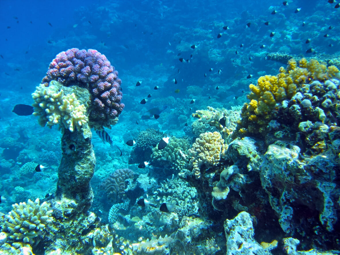 Discover the Best Beaches in Egypt by Region | Inside Egypt