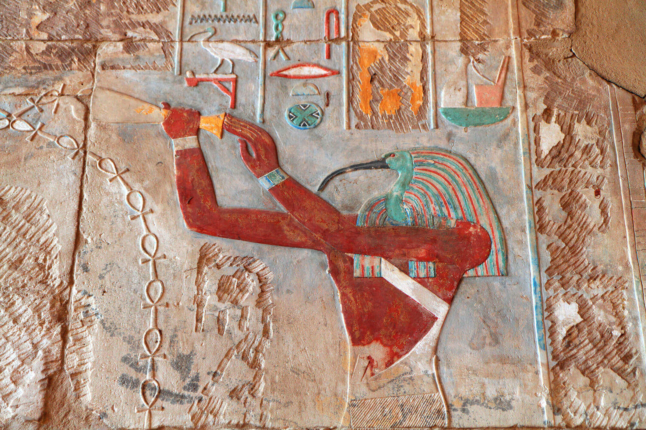 Sacred Bird Of Egypt